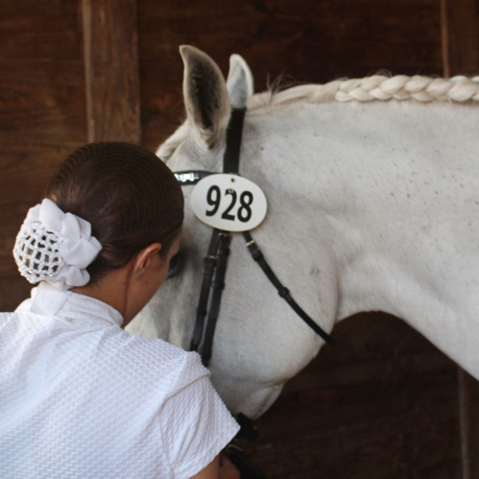 Lameness Exams and Treatments - Brandon Equine Medical Center
